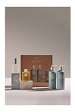 Roz Hair RŌZ Hair The Healthy Hair Kit | REVOLVE