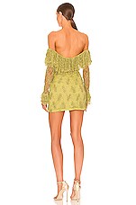 retrofete Castella Dress in Lime Green | REVOLVE