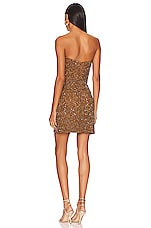 retrofete Hannah Dress in Amber Brown | REVOLVE