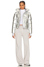 SAM. Andi Jacket in Silver & Ice | REVOLVE