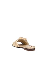 Sam Edelman Bambi Sandal in Natural | REVOLVE