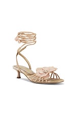 Sam Edelman Carla Sandal in Ecru | REVOLVE