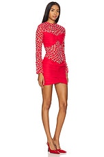 SELMACILEK Transparent Mini Dress in Red | REVOLVE