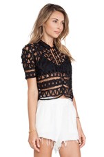 Stone Cold Fox TOP CROPPED CAROLINA en Black | REVOLVE
