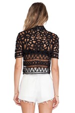 Stone Cold Fox TOP CROPPED CAROLINA en Black | REVOLVE