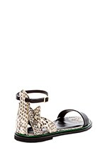 See By Chloe Flat Python Sandal en Black | REVOLVE