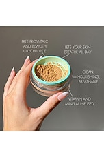 SWEED Miracle Powder in Tan 04 | REVOLVE