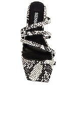 SENSO Ulissa II Sandal in Ice | REVOLVE