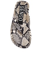 SENSO Innika III Flip Flop in Cobra | REVOLVE