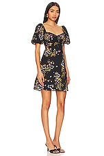 Steve Madden Violeta Dress in Black | REVOLVE