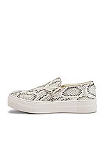 Steve Madden Gills Sneaker in Bone Snake | REVOLVE