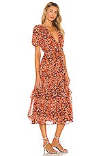 Ulla Johnson Delphine Dress in Poppy | REVOLVE