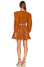 Ulla Johnson Corliss Dress in Sumac | REVOLVE