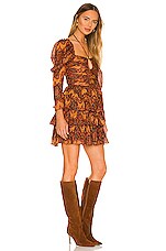Ulla Johnson Naiya Dress in Ember | REVOLVE