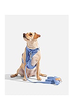 Wild One Harness in Moonstone | REVOLVE