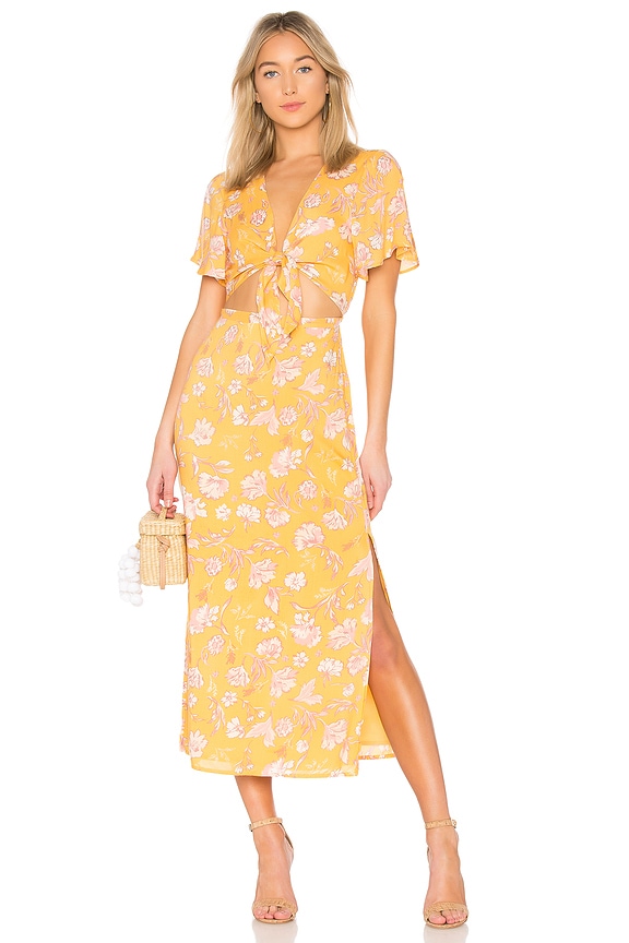 AMUSE SOCIETY Bohemian Rhapsody Dress in Honey | REVOLVE