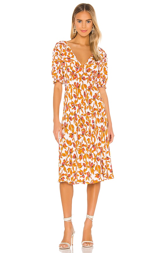 Diane von Furstenberg ROBE IDRIS en Eden Tigress | REVOLVE