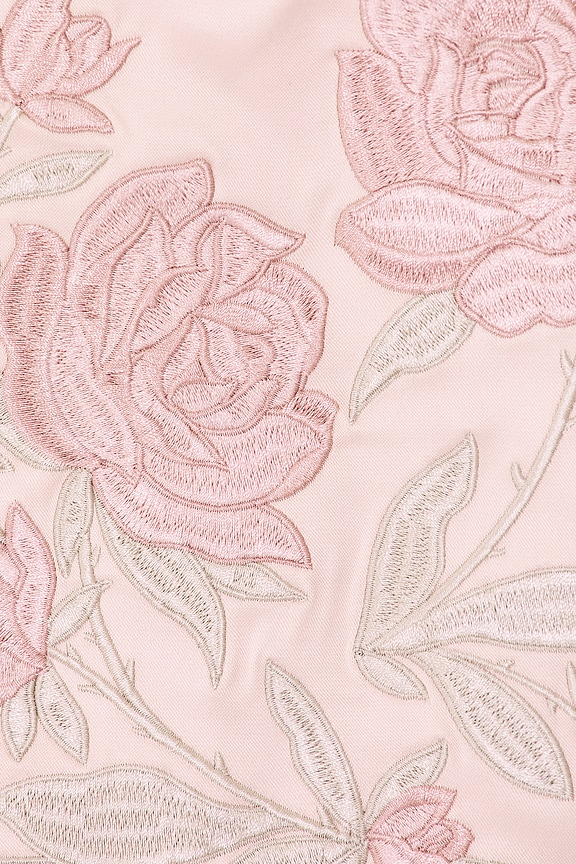 LOBA Roselie Embroidered Bustier in Blush | REVOLVE