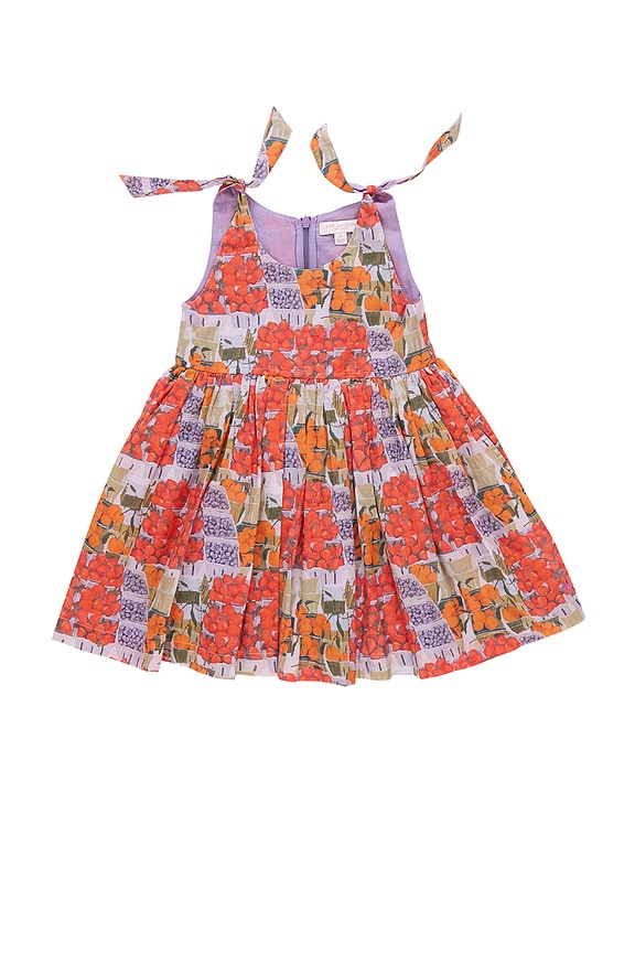 Pink Chicken Girls Taylor Dress in Berries & Oranges | REVOLVE