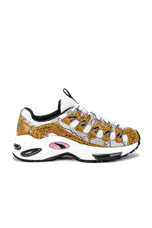 Puma Select Cell Endura Animal Kingdom in Puma White & Golden Orange ...