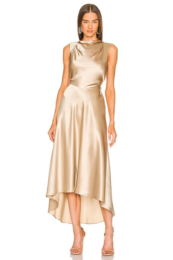 SALONI Jen Dress in Champagne | REVOLVE