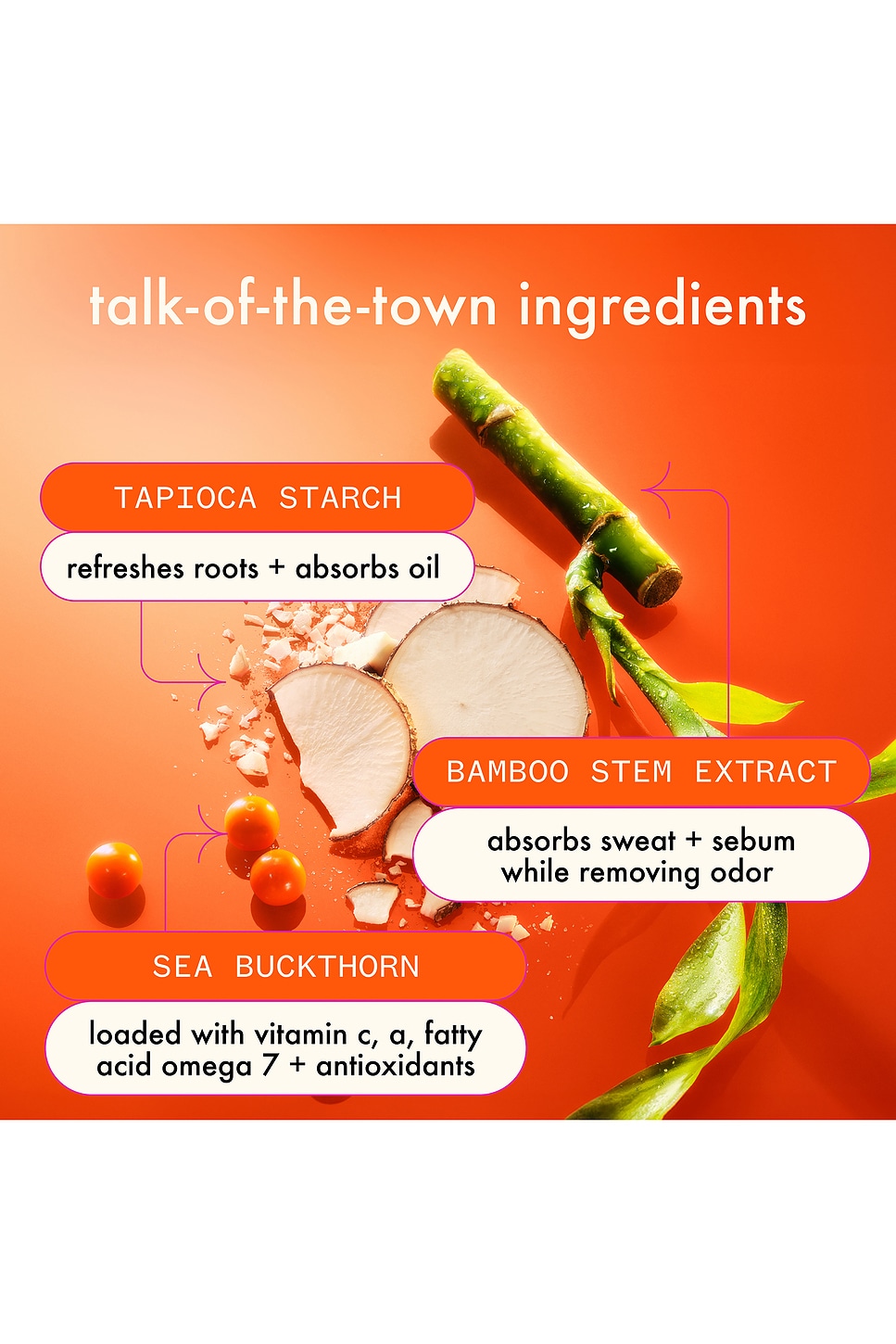 amika Travel Perk Up Ultra Oil Control Dry Shampoo | REVOLVE