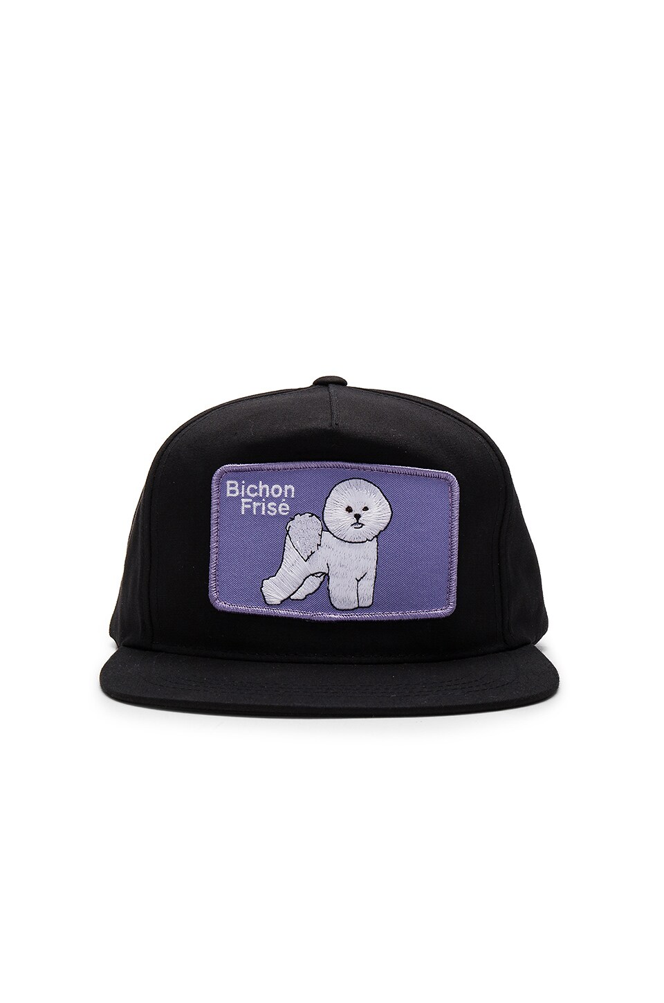 Dog Limited Bichon Frise Snapback in Black | REVOLVE