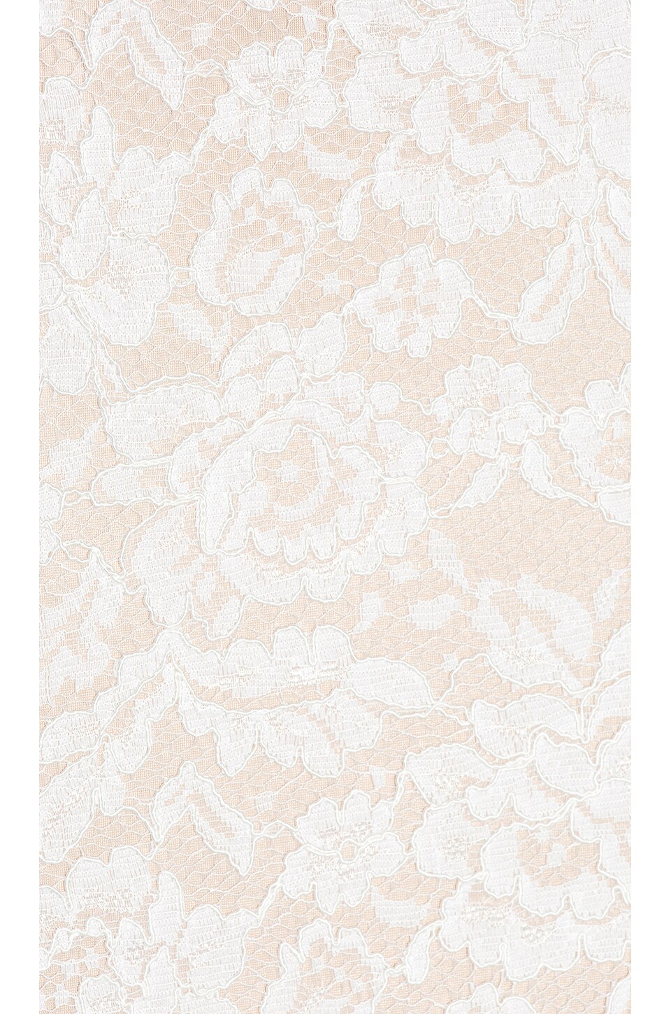 Lurelly Floral Lace Gown In White Revolve