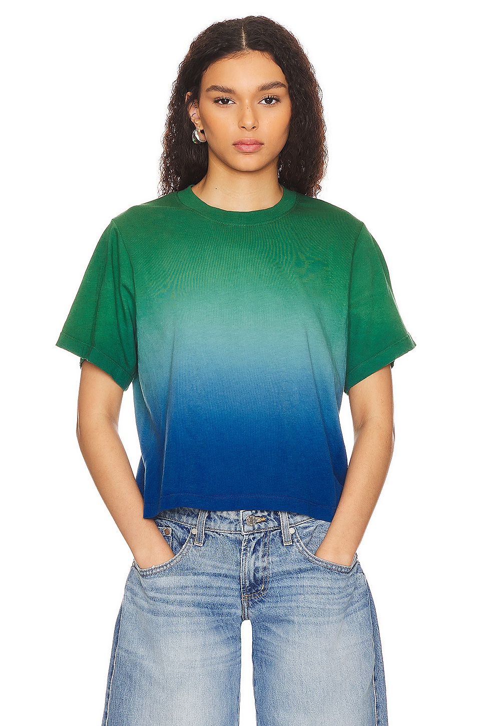 Michael Lauren Hester Ombre Crop Boxy Tee in Algae | REVOLVE