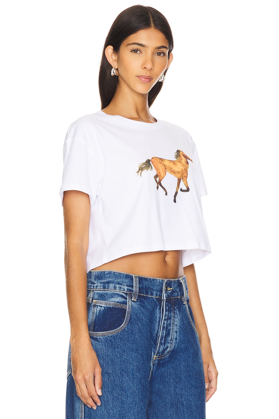 Polychrome Goods Horse Crop Top in White | REVOLVE