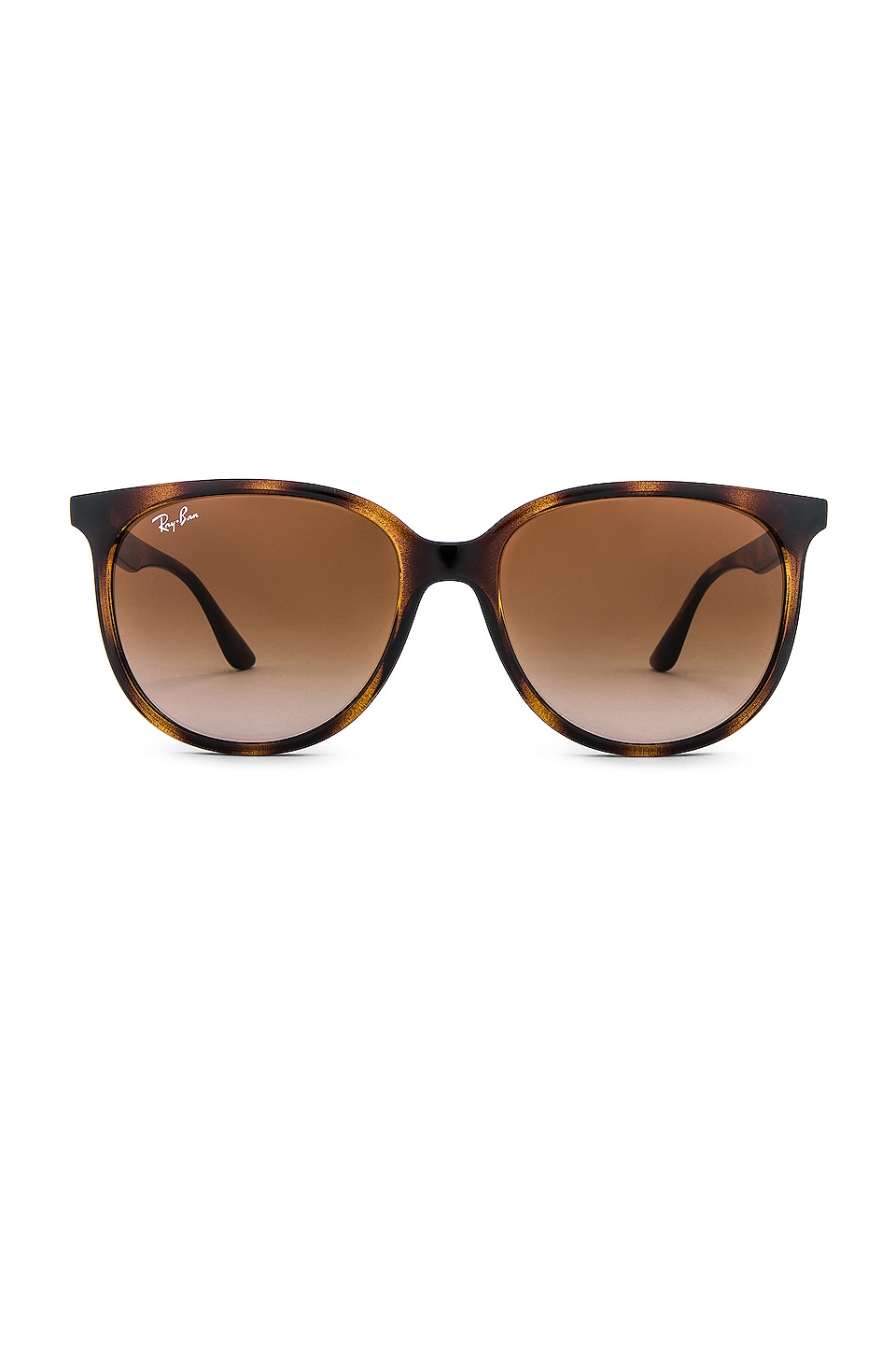 Ray-Ban Classic in Havana & Gradient Brown | REVOLVE