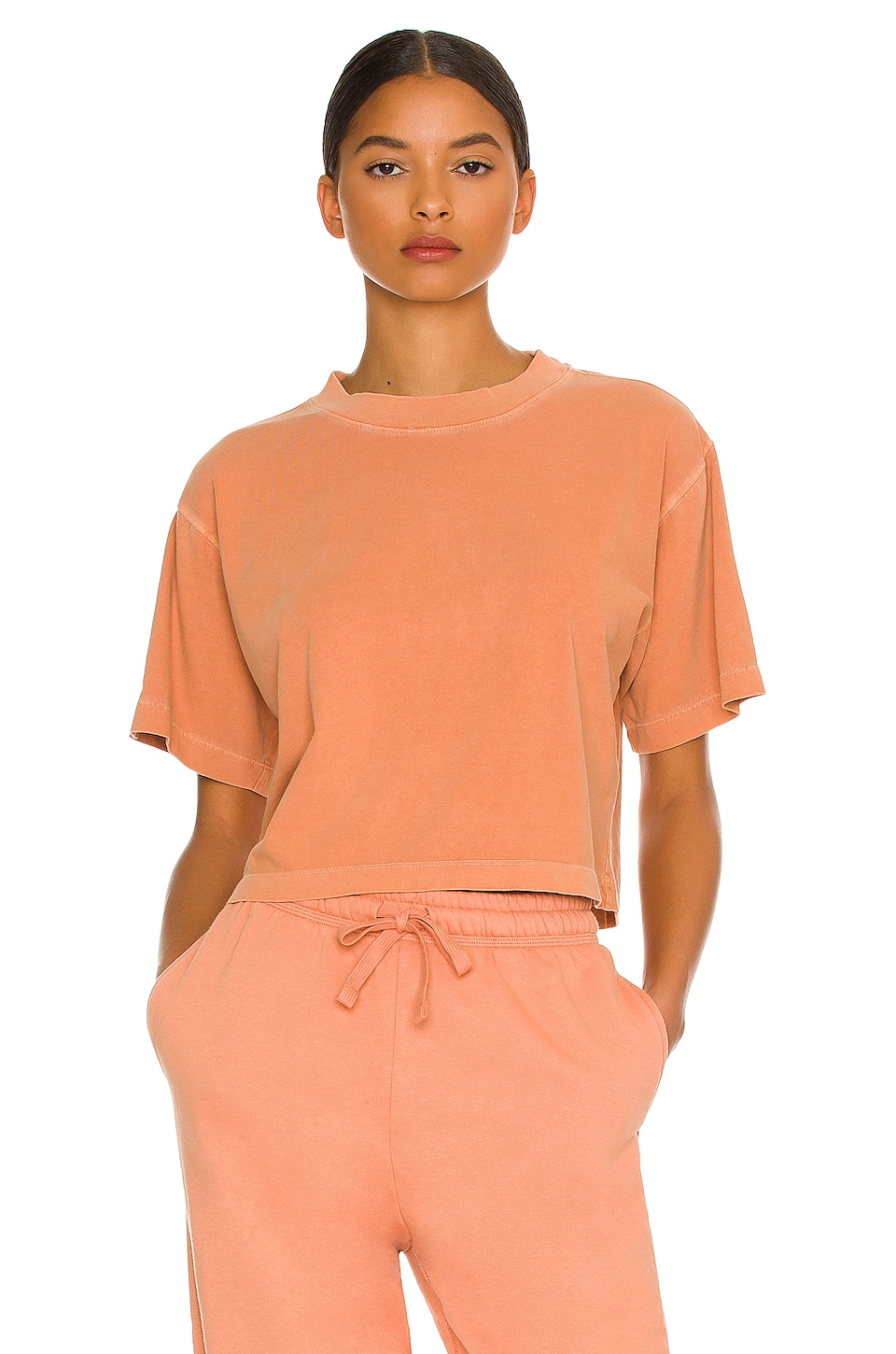 Richer Poorer Relaxed Crop Tee in Clay | REVOLVE