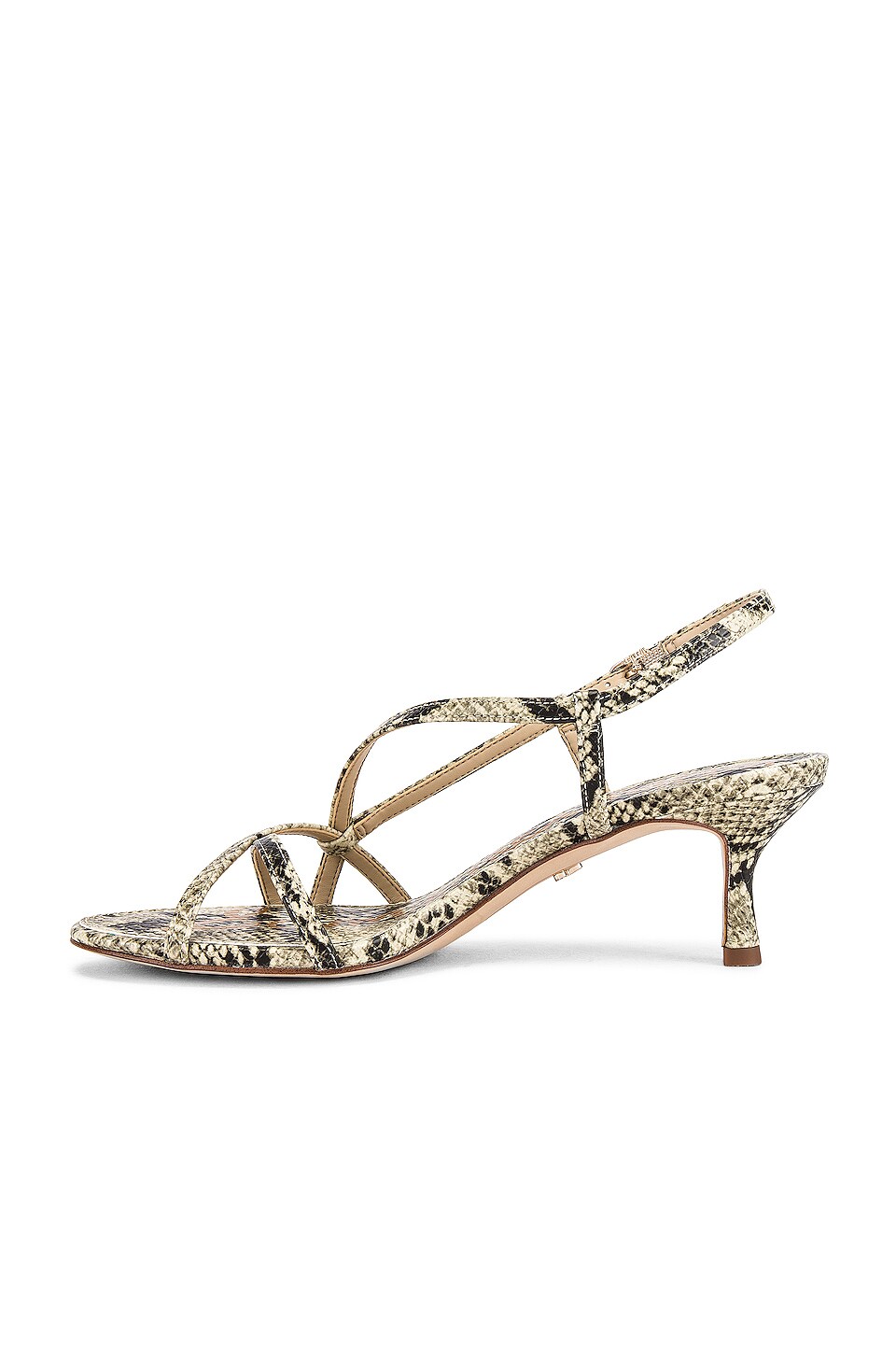 Sam Edelman Judy Sandal in Beach Multi Snake | REVOLVE