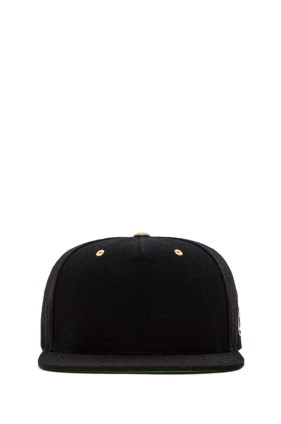 Stussy Back Arch Snapback in Black | REVOLVE